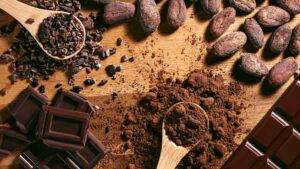 Can Cats Eat Chocolate? The Ultimate Guide