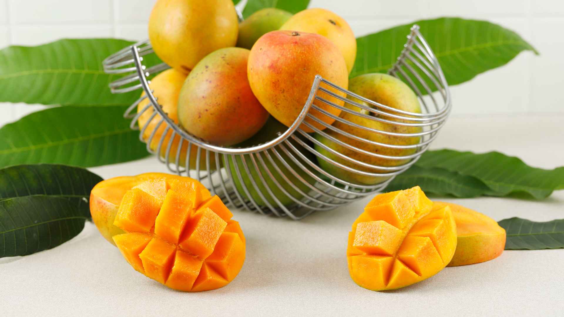 Can Dogs Eat Mango? The Ultimate Guide