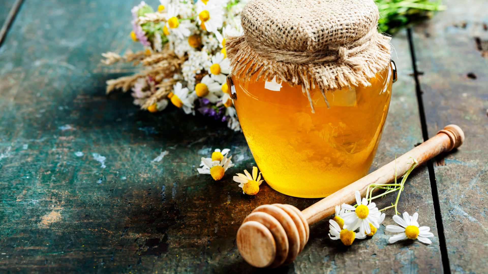 Can Dogs Have Honey? The Ultimate Guide
